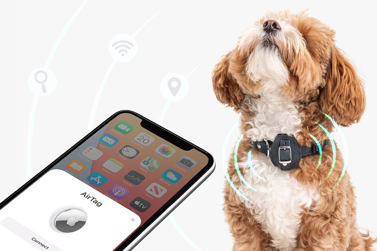 Tech for Tails: Are AirTag Compatible Dog Collars Worth It? | hidemont.com